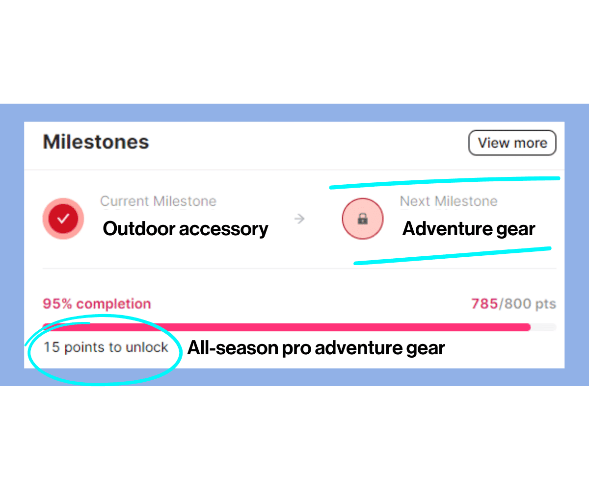 Points To Reward Influencers for Marketing Your Brand